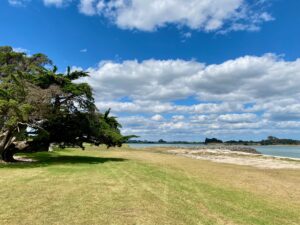 Clarks Beach - Quiet seaside playgrounds and white sands at high tide ...