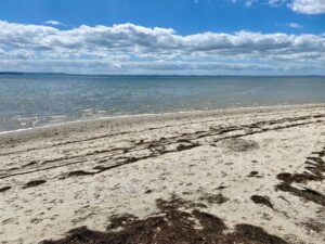 Clarks Beach - Quiet seaside playgrounds and white sands at high tide ...