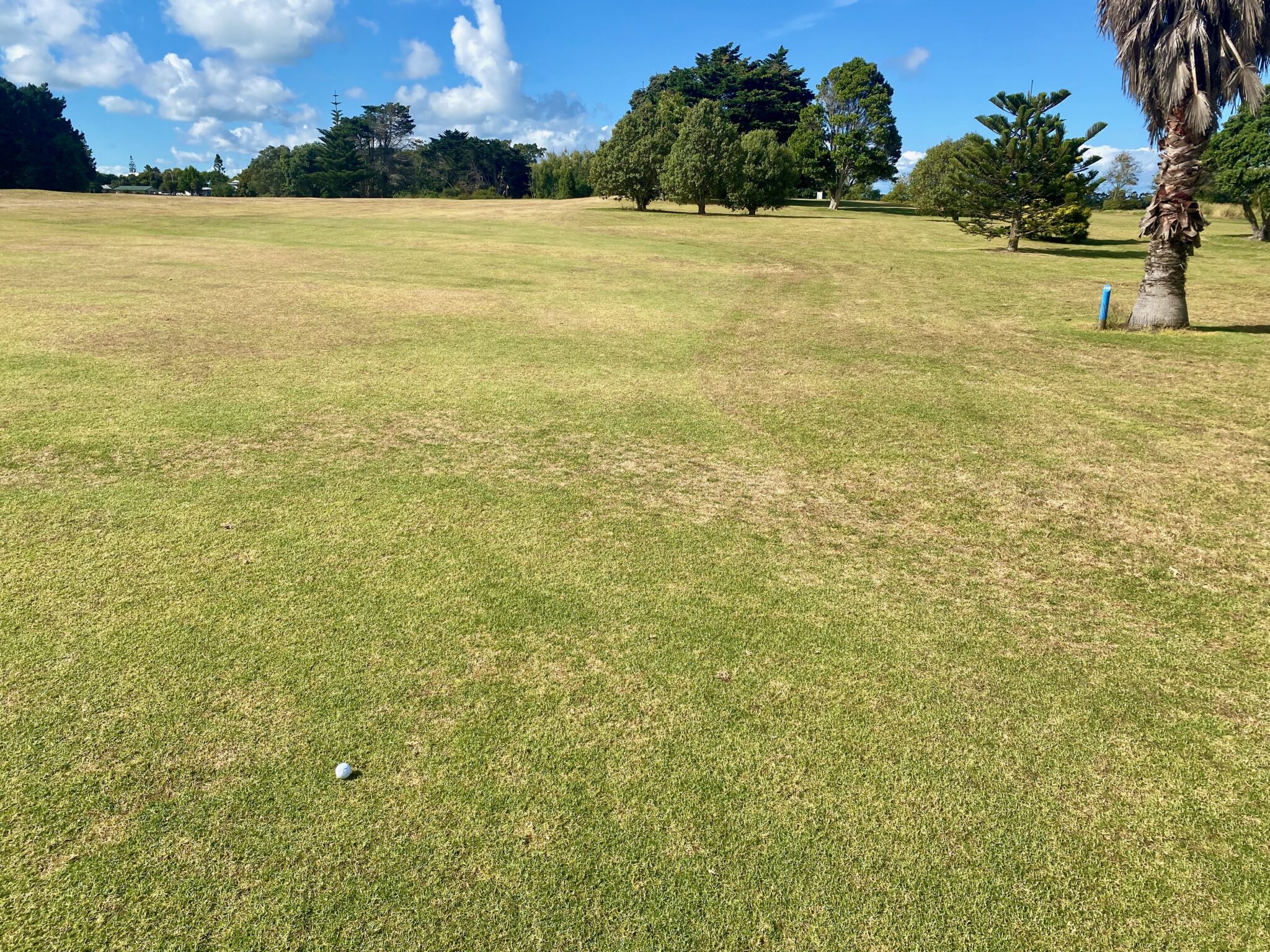 Clarks Beach Golf Club - A Seaside Country Champion - discoverauckland