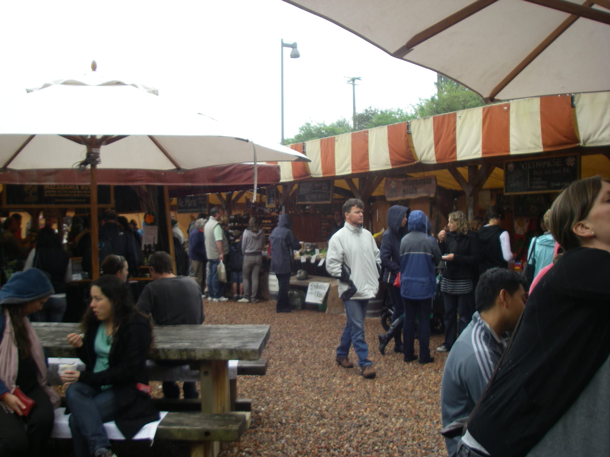 3 Best Hobbiton Tours from Auckland - Hand Picked